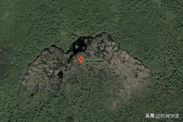 The only non-human structure that can be seen from space. It is ...