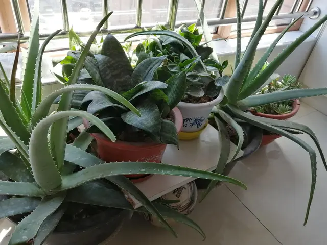 One day, Zhuangzi and Huizi were playing on the river bridge. Zhuangzi ...