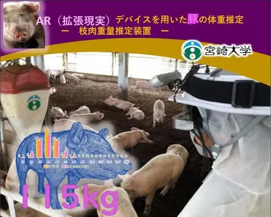 Wearing these glasses, you can see at a glance how much a live pig ...