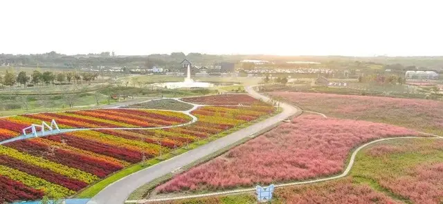 A long time ago, White Rabbit was called Shatuo Village. Later, because ...