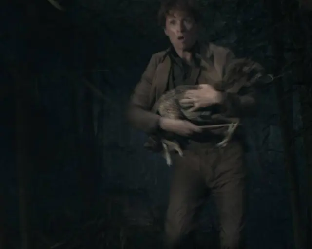 In the movie "Fantastic Beasts: Dumbledore's Mystery", which is ...